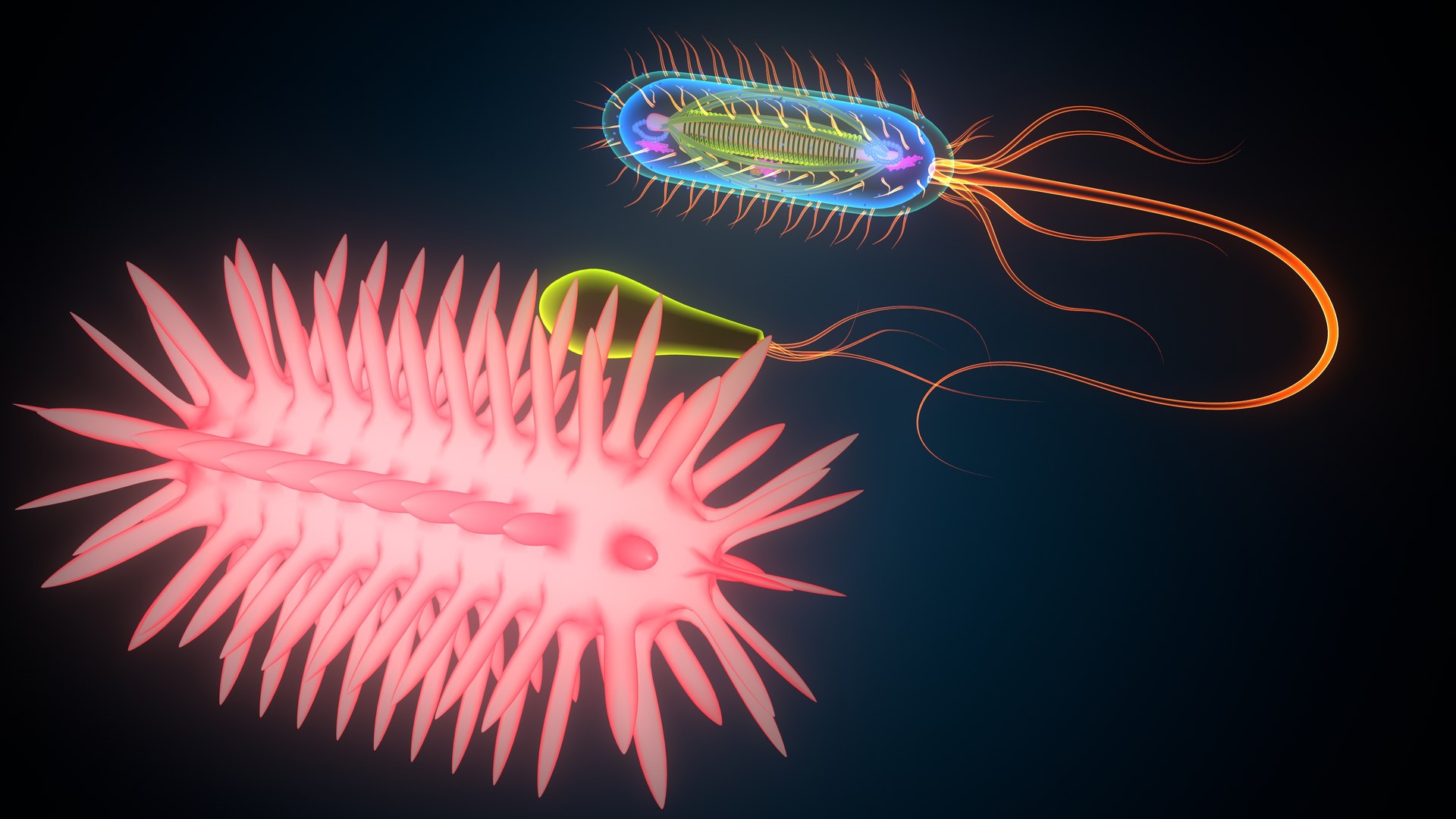 3D Model Bacteria - TurboSquid 1819702
