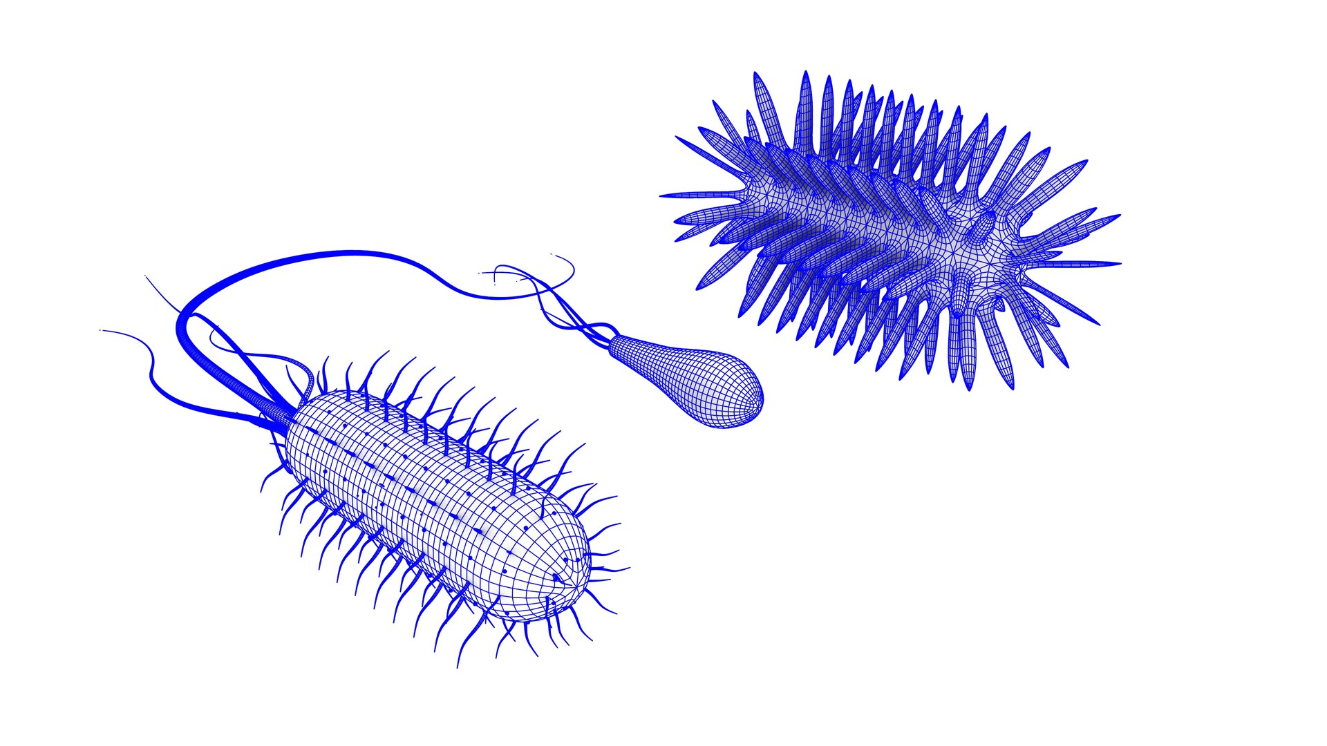 3D Model Bacteria - TurboSquid 1819702