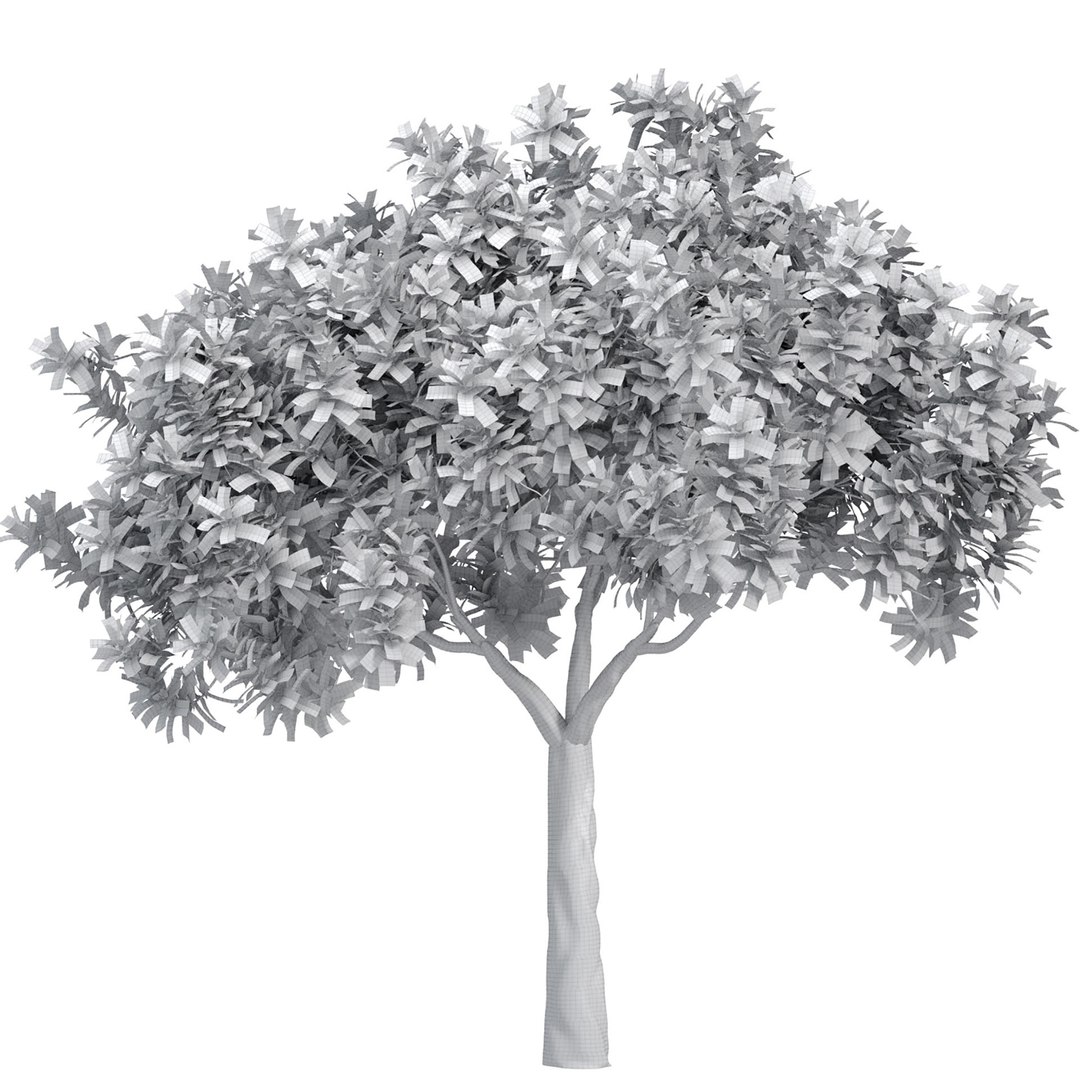 3D Decorative Evergreen Beautiful Garden Outdoor Tree Shrub Model ...