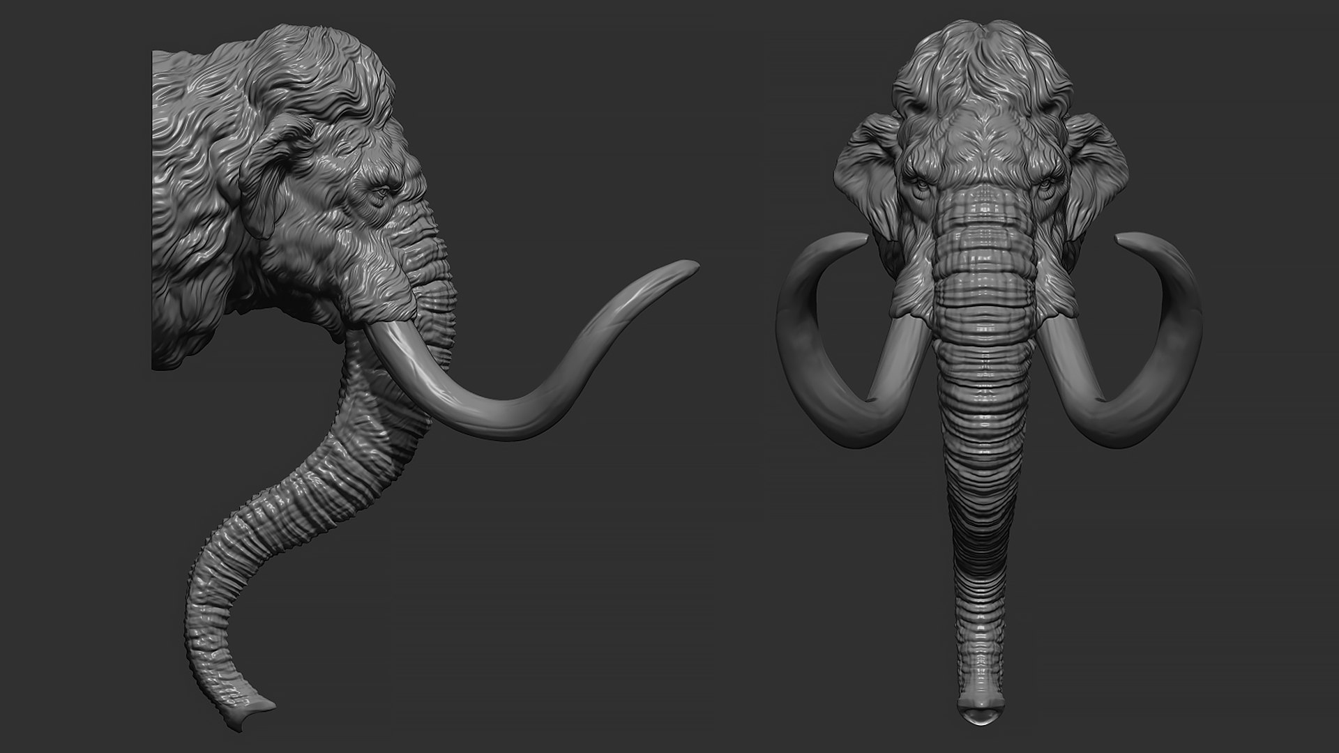 Mammoth Head 3D Model - TurboSquid 1979148
