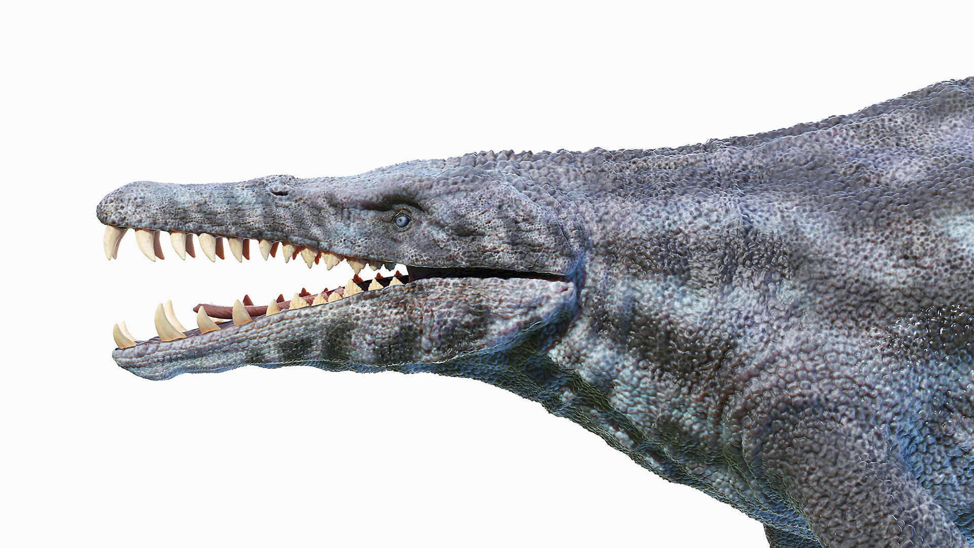 3D Basilosaurus - TurboSquid 1705985