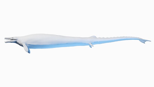 modelo 3d Basilosaurus - TurboSquid 1705985
