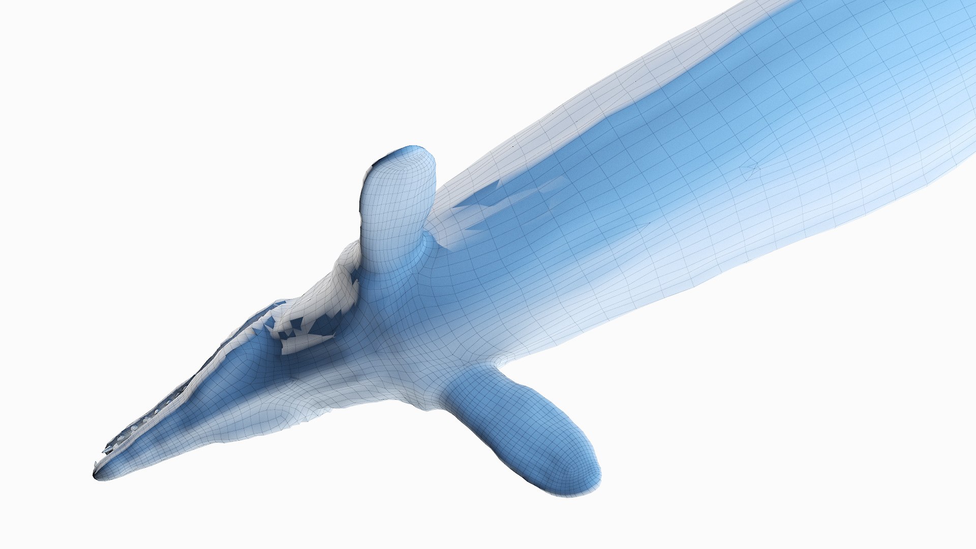 3D Basilosaurus - TurboSquid 1705985