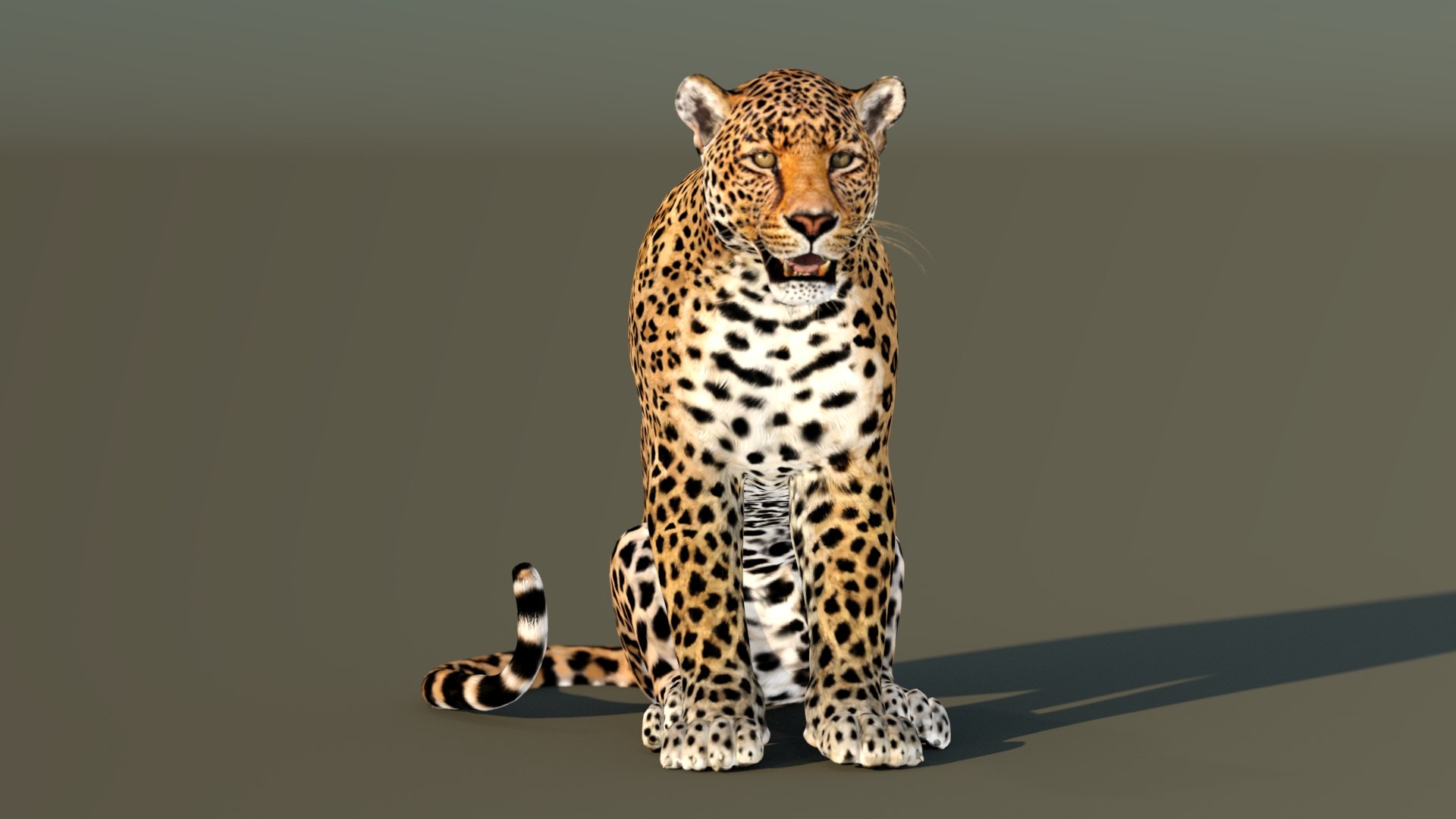 3D Leopard Rigged - TurboSquid 1813613