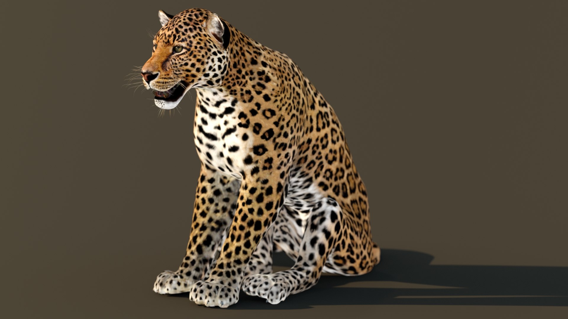 3D Leopard Rigged - TurboSquid 1813613