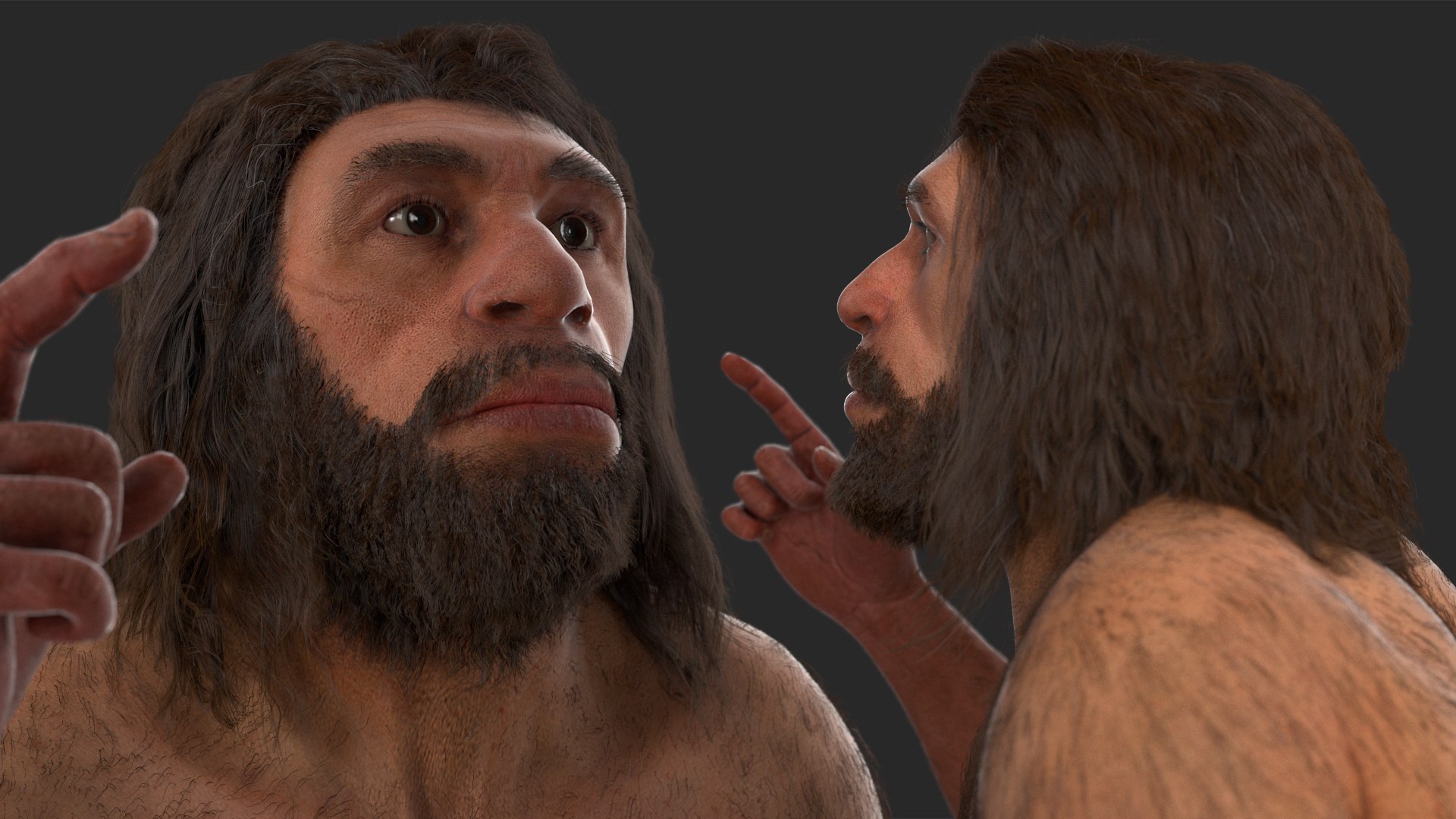 Sitting Neanderthal Fur 3D - TurboSquid 2092160