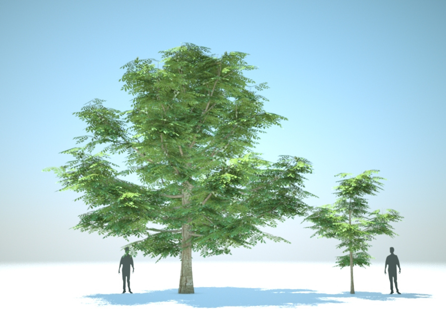 Trees Arch Gpu 3d Model