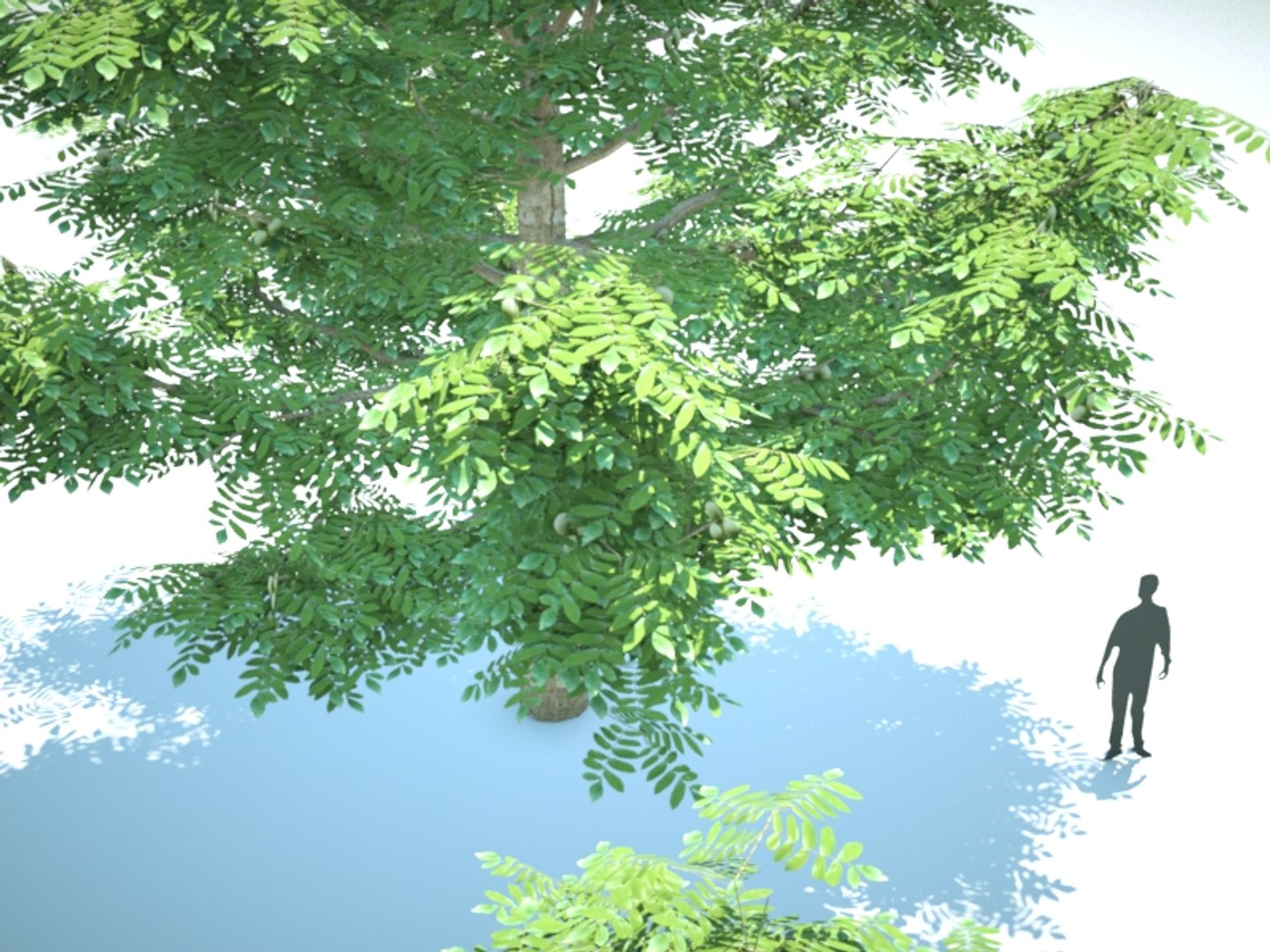 Trees Arch Gpu 3d Model