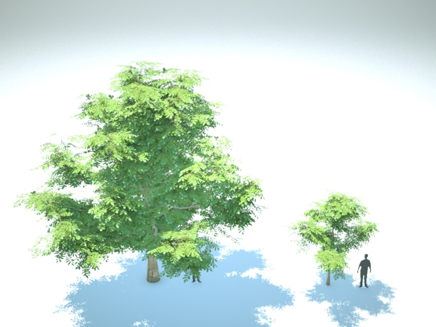 Trees Arch Gpu 3d Model