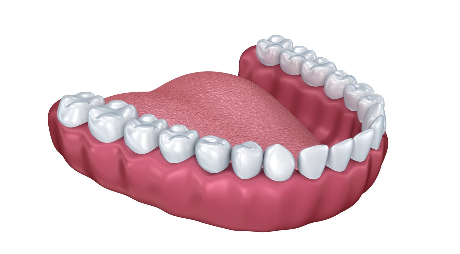 Lower Teeth Crown Dental 3d Max