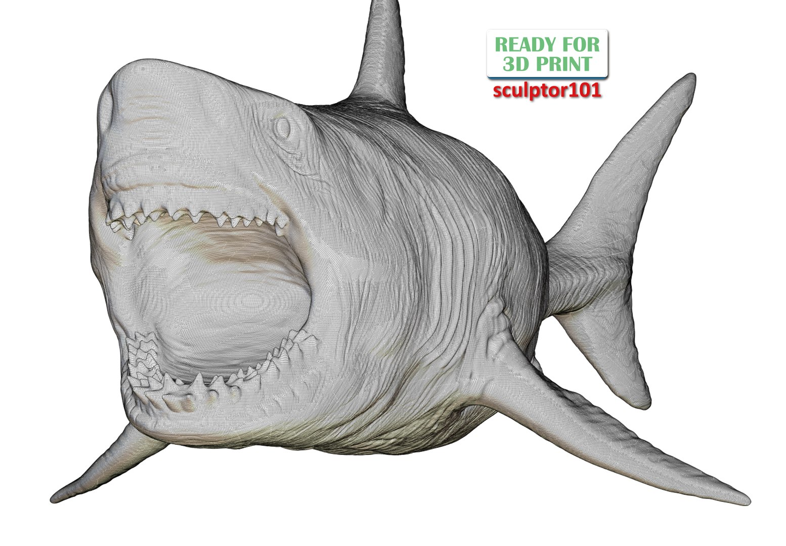 Ancient Ocean Creature Megalodon 3D sculpting 3D - TurboSquid 2054801