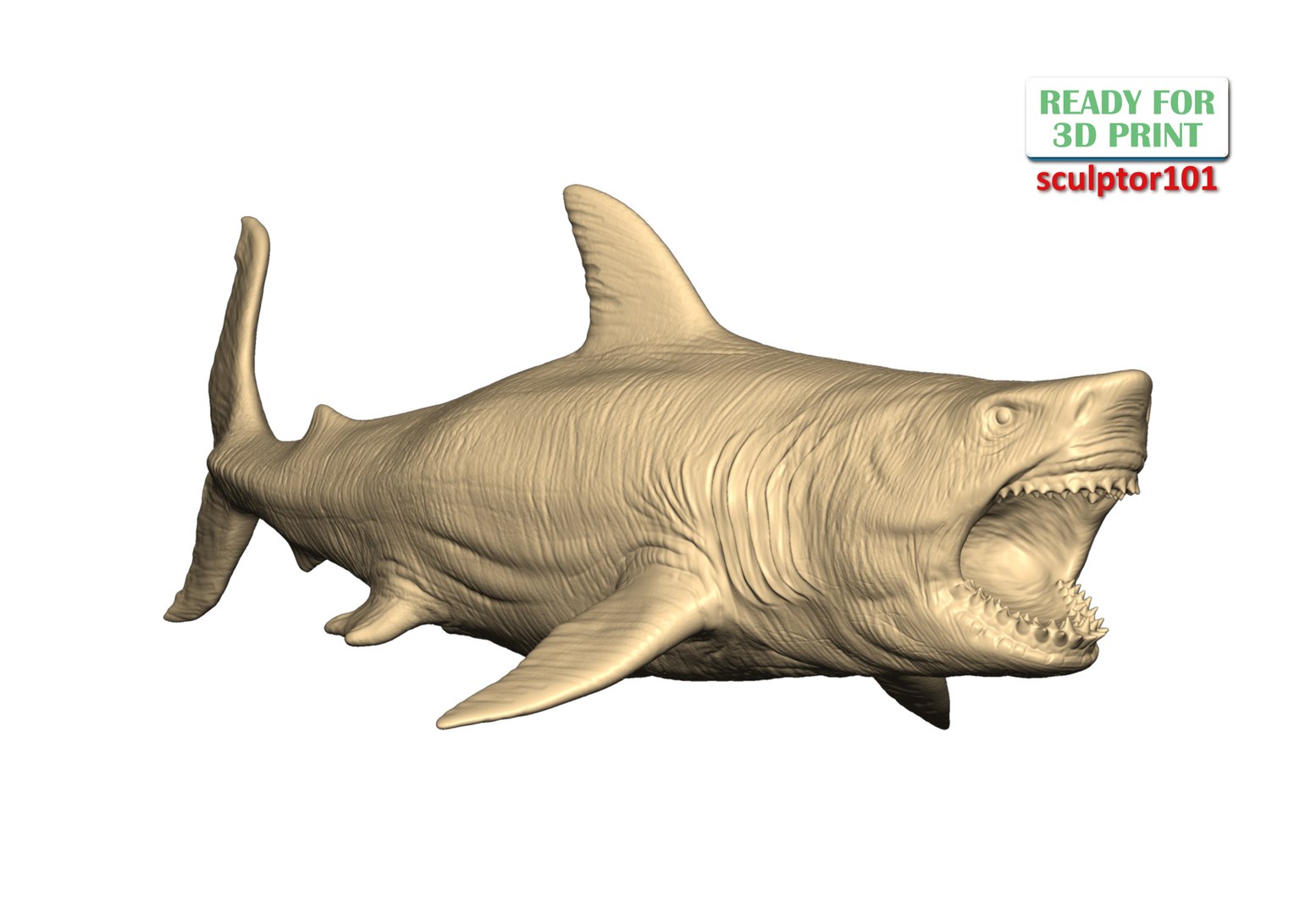 Ancient Ocean Creature Megalodon 3D sculpting 3D - TurboSquid 2054801