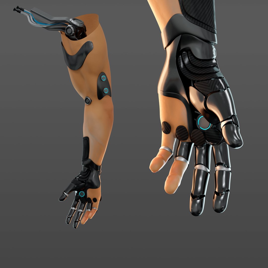 Hand Anatomy Mechanical Model - TurboSquid 1619403