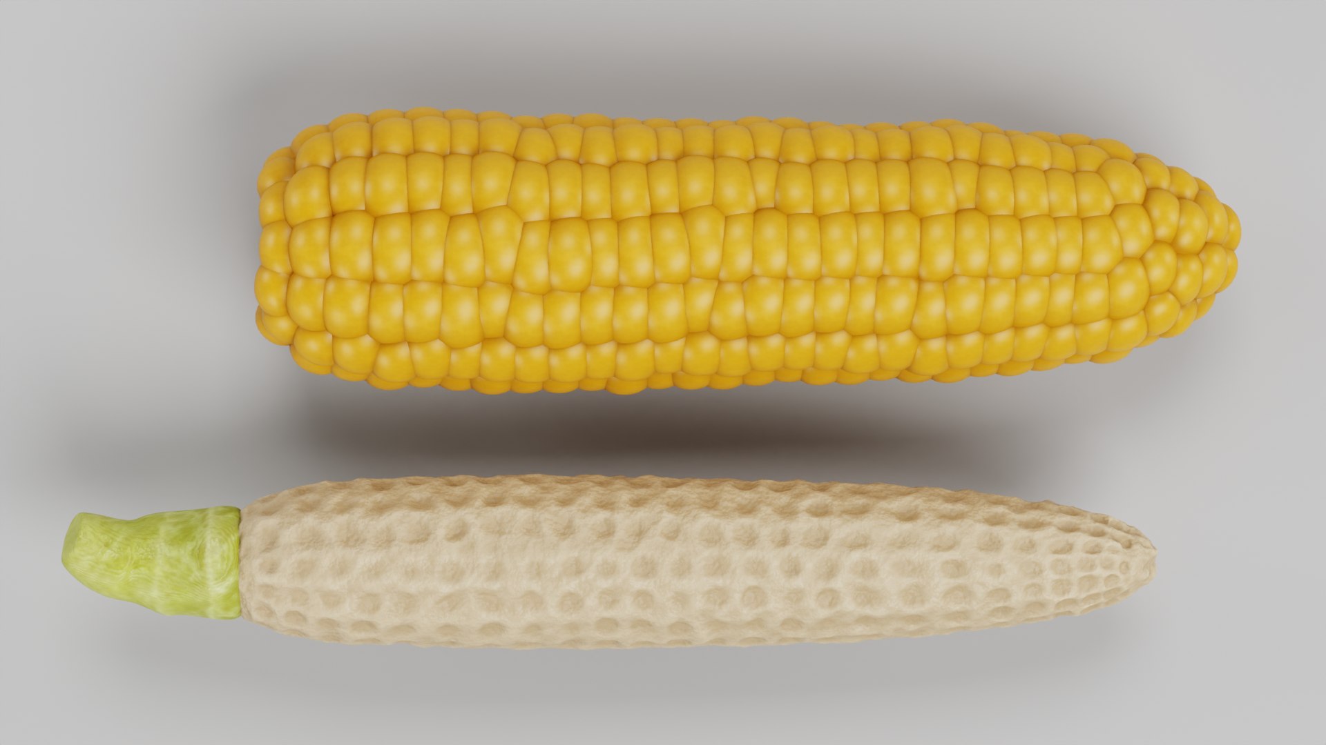 Corn With Inner Kernel Structure 3D - TurboSquid 2244667