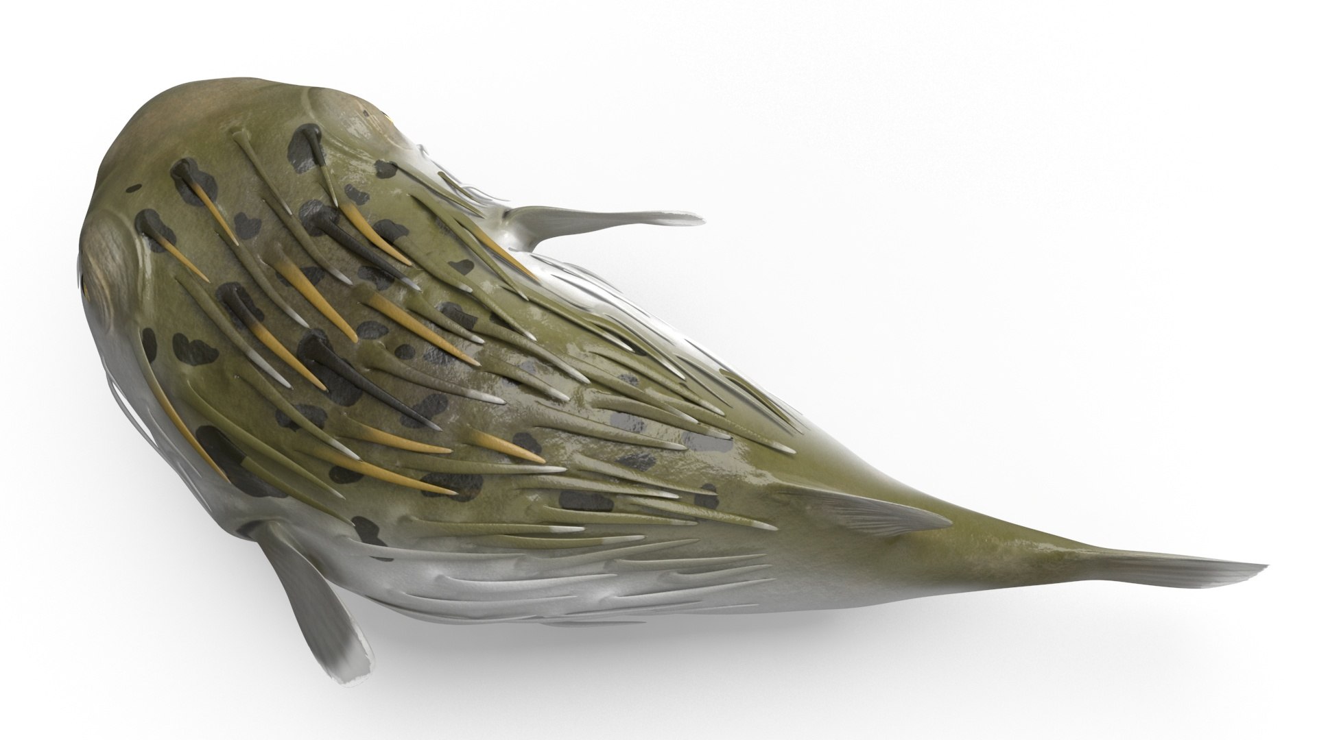3D Model Puffer Fish Rigged For Cinema 4D - TurboSquid 2191671