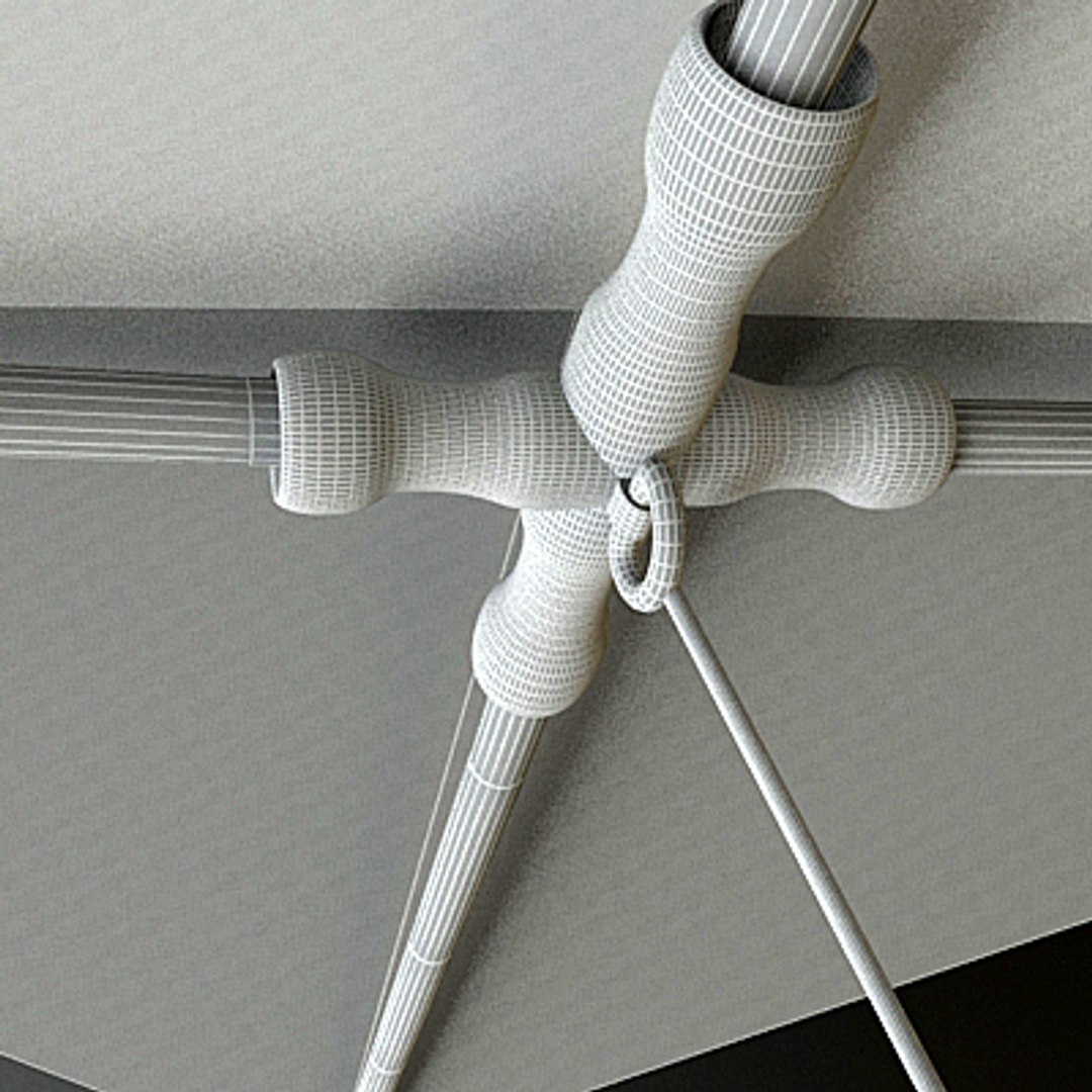 Kite Rigged 3d Model