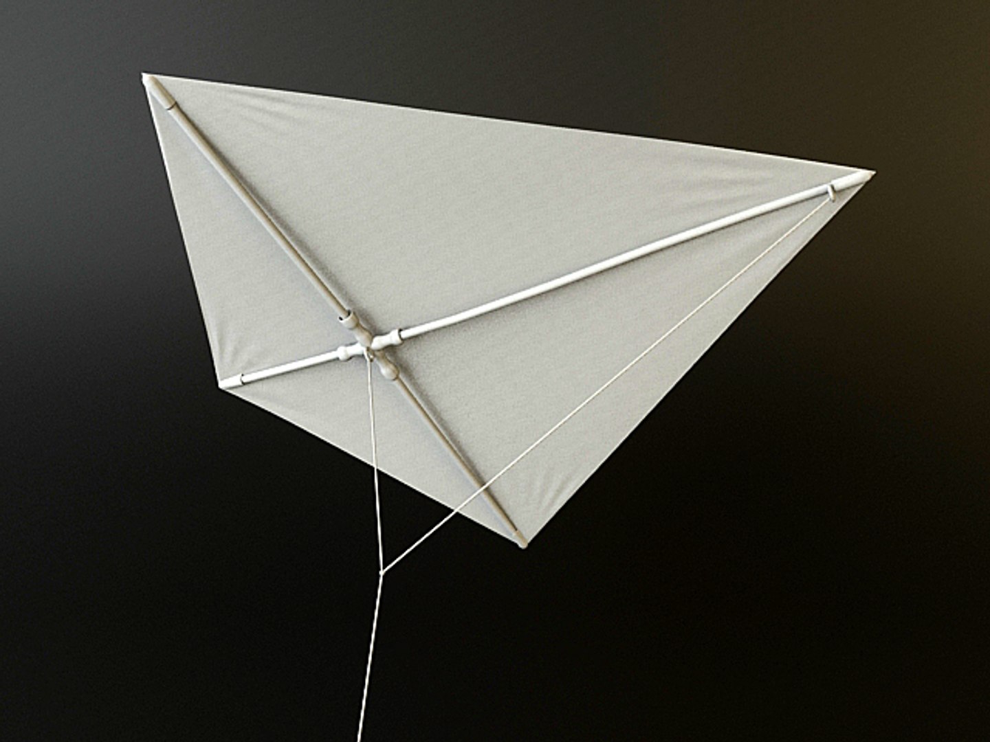 Kite Rigged 3d Model