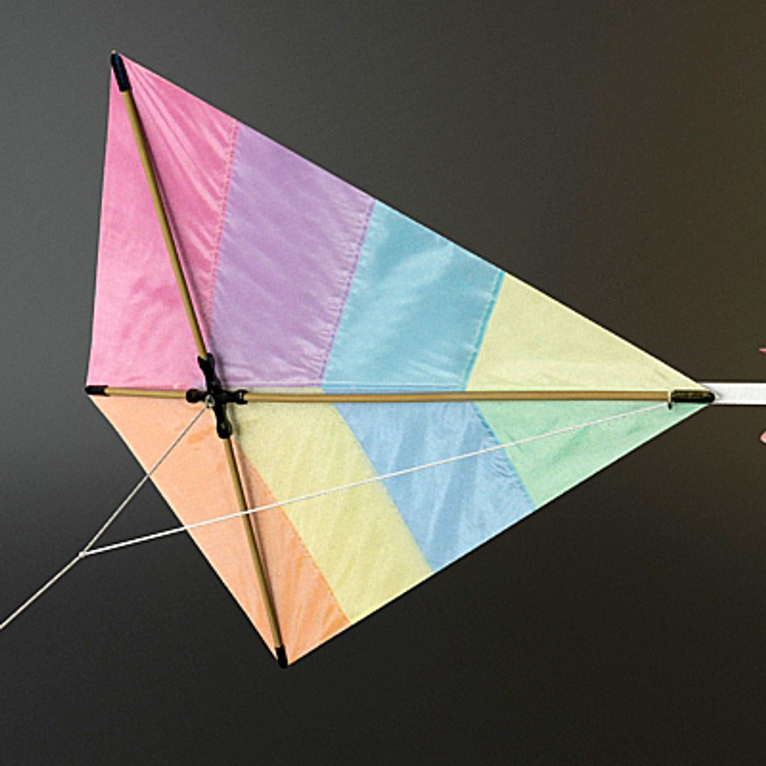 Kite Rigged 3d Model