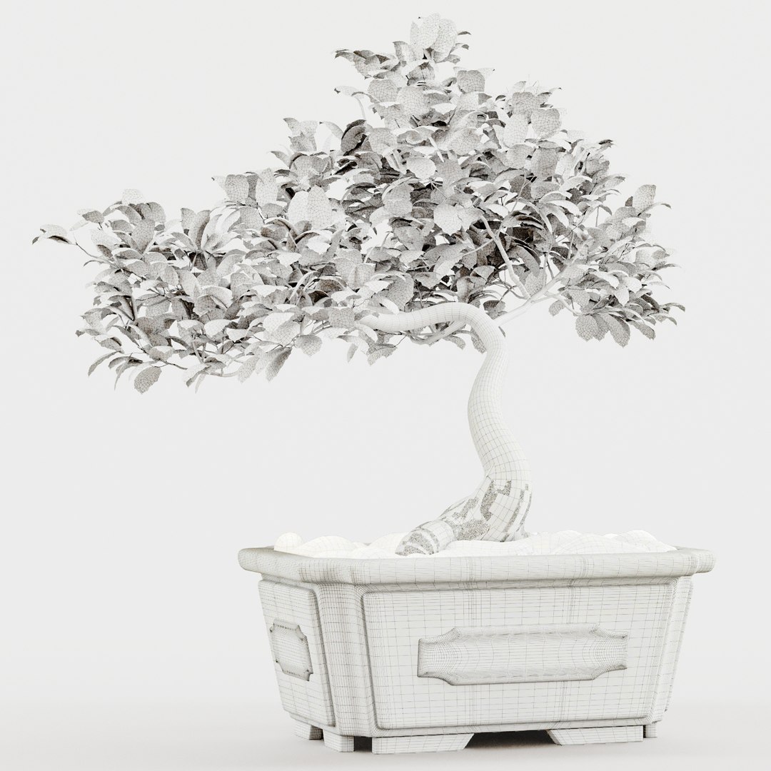3D Model Indoor Plant Bonsai 02 - TurboSquid 2255789