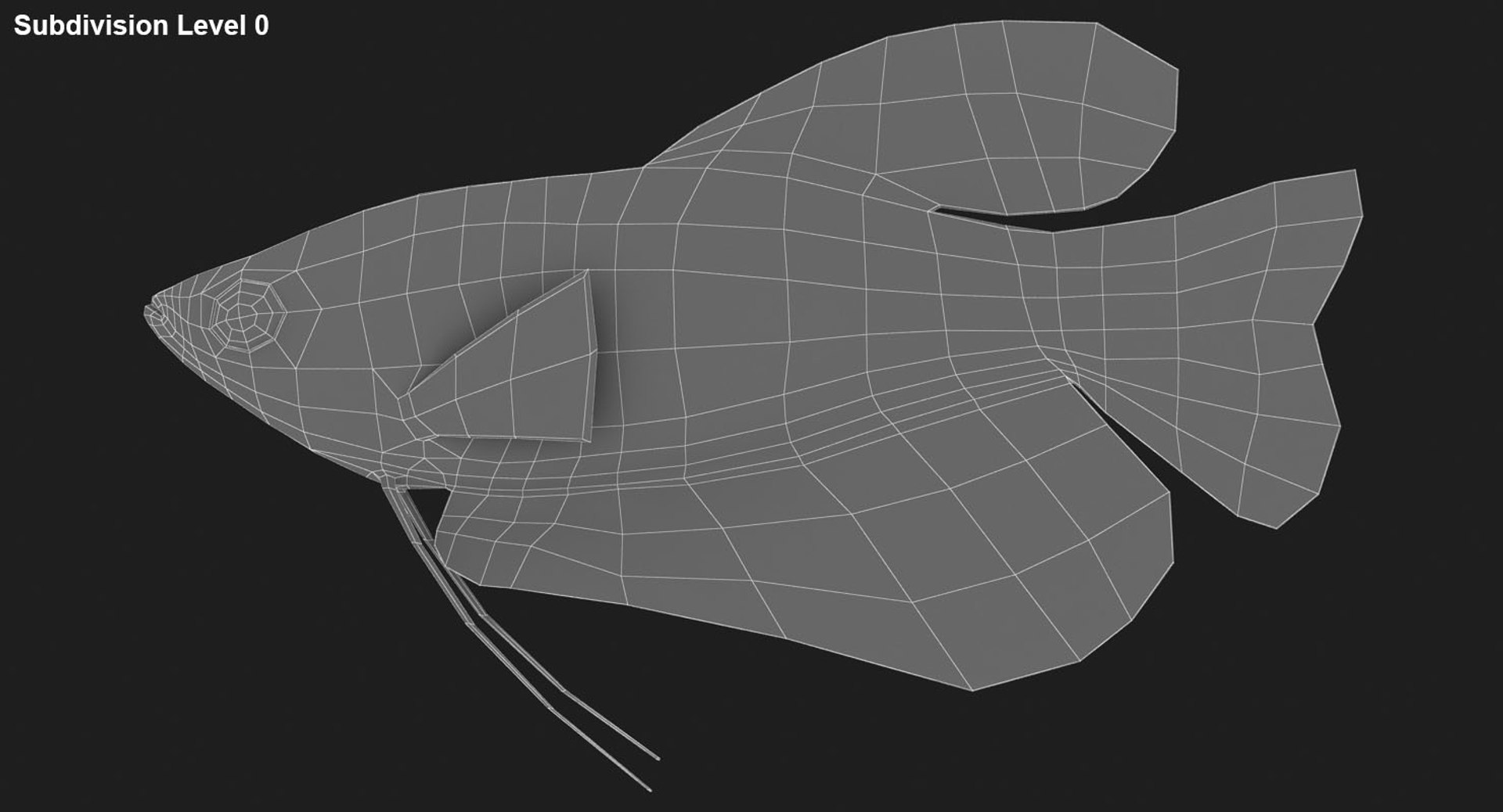 Freshwater Fish 3D - TurboSquid 1323567