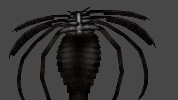 Eurypterid 3D model - TurboSquid 1804704