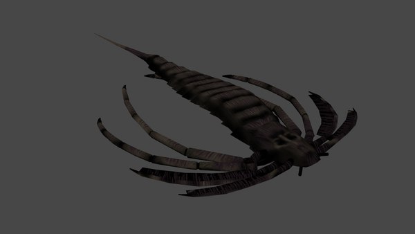 Eurypterid 3D model - TurboSquid 1804704