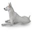 Max White Shepherd Dog Pose