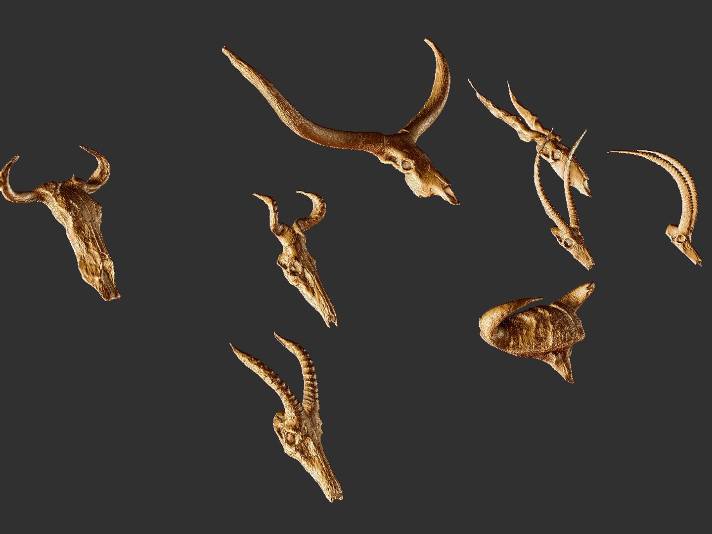 3D skull pack - TurboSquid 1573571