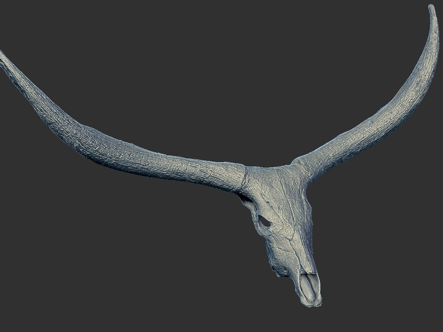 3D skull pack - TurboSquid 1573571