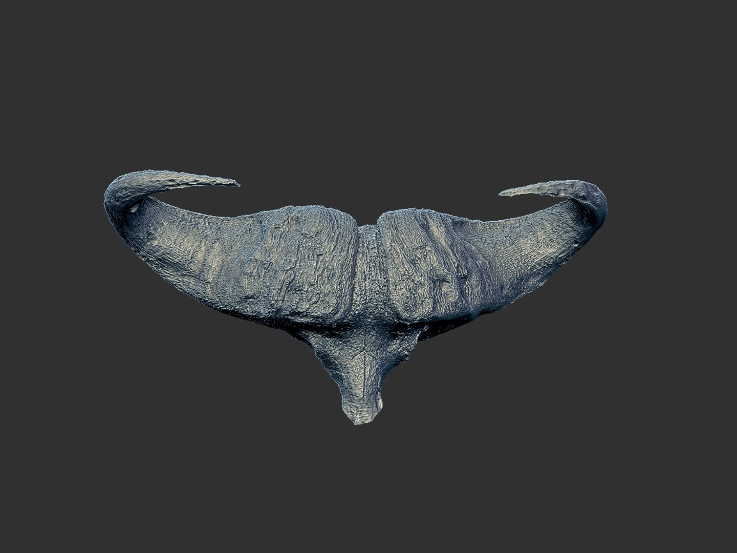 3D skull pack - TurboSquid 1573571