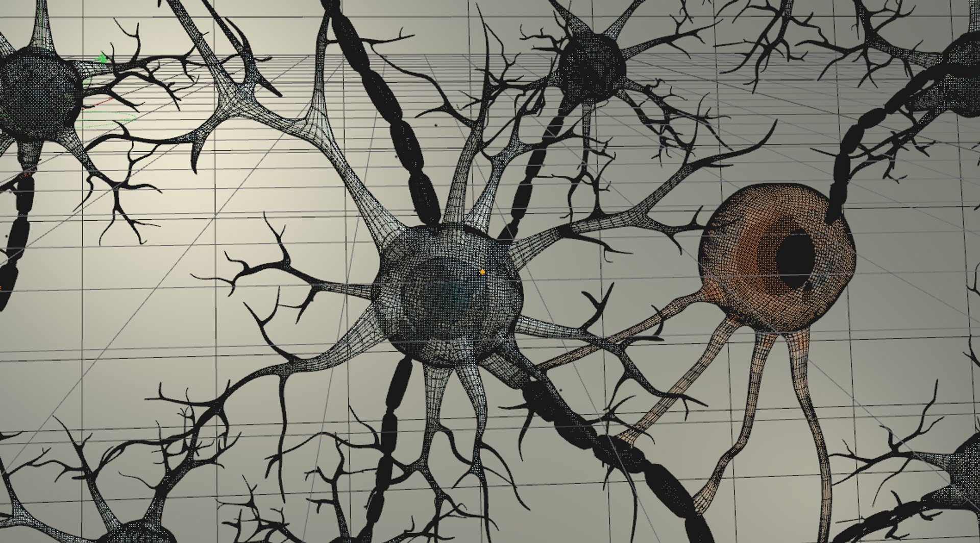 Brain Neuron 3D - TurboSquid 1290498