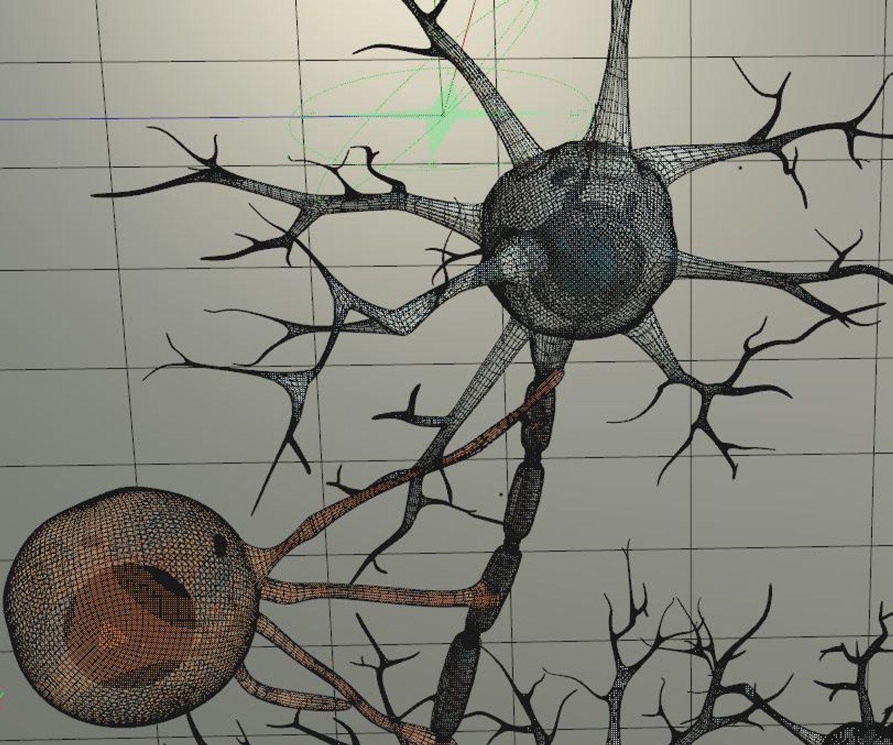 Brain Neuron 3D - TurboSquid 1290498