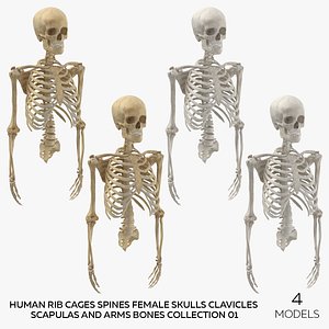 3D Helathcare Real-Time Models For Download | TurboSquid