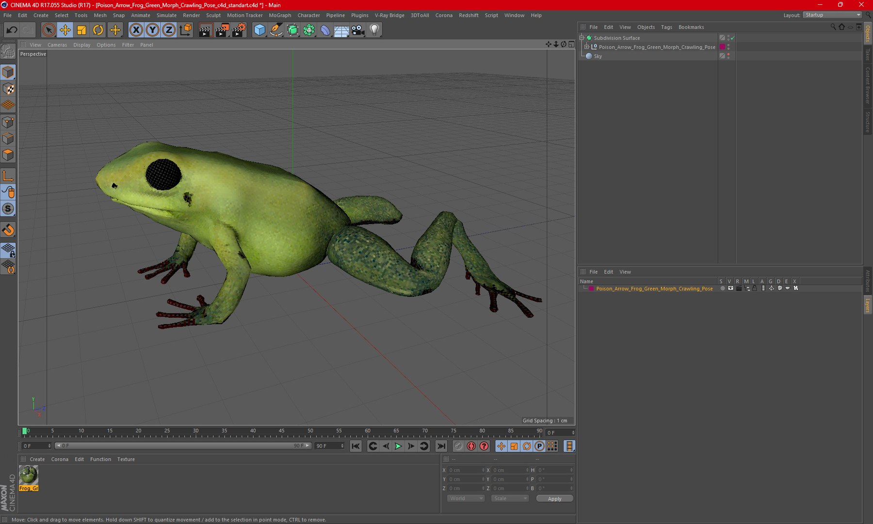 Poison Arrow Frog Green Morph Crawling Pose Model - TurboSquid 2188789
