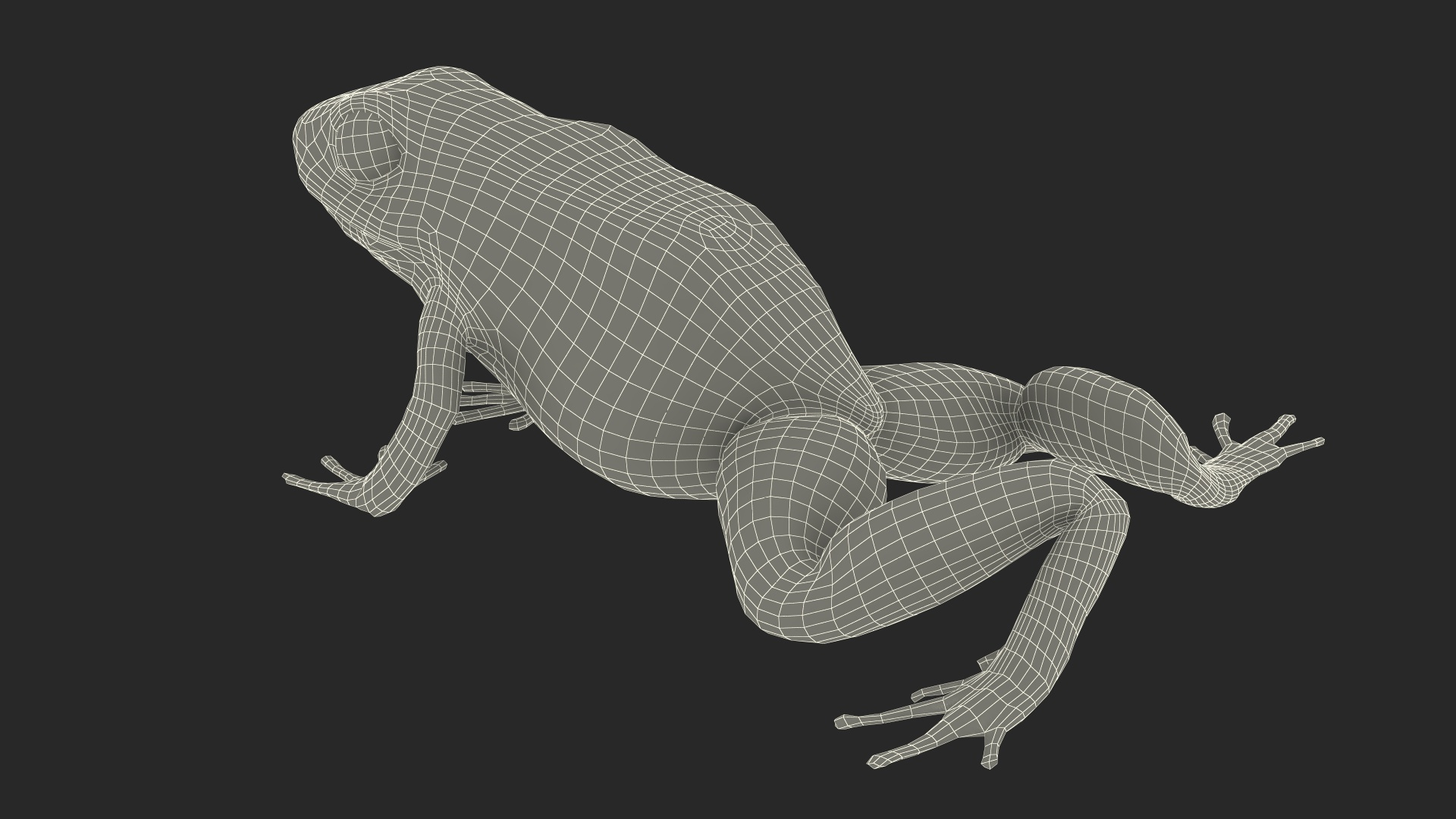 Poison Arrow Frog Green Morph Crawling Pose Model - TurboSquid 2188789