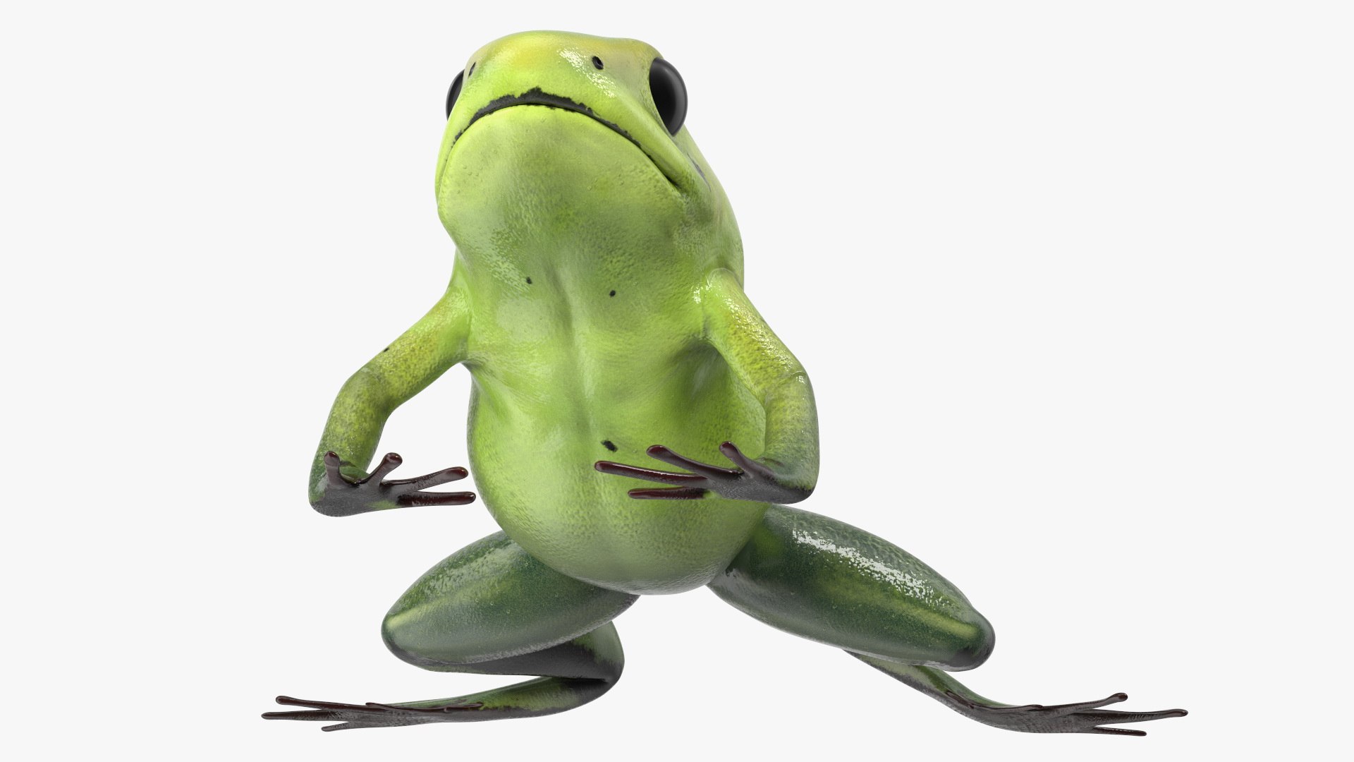 Poison Arrow Frog Green Morph Crawling Pose Model - TurboSquid 2188789