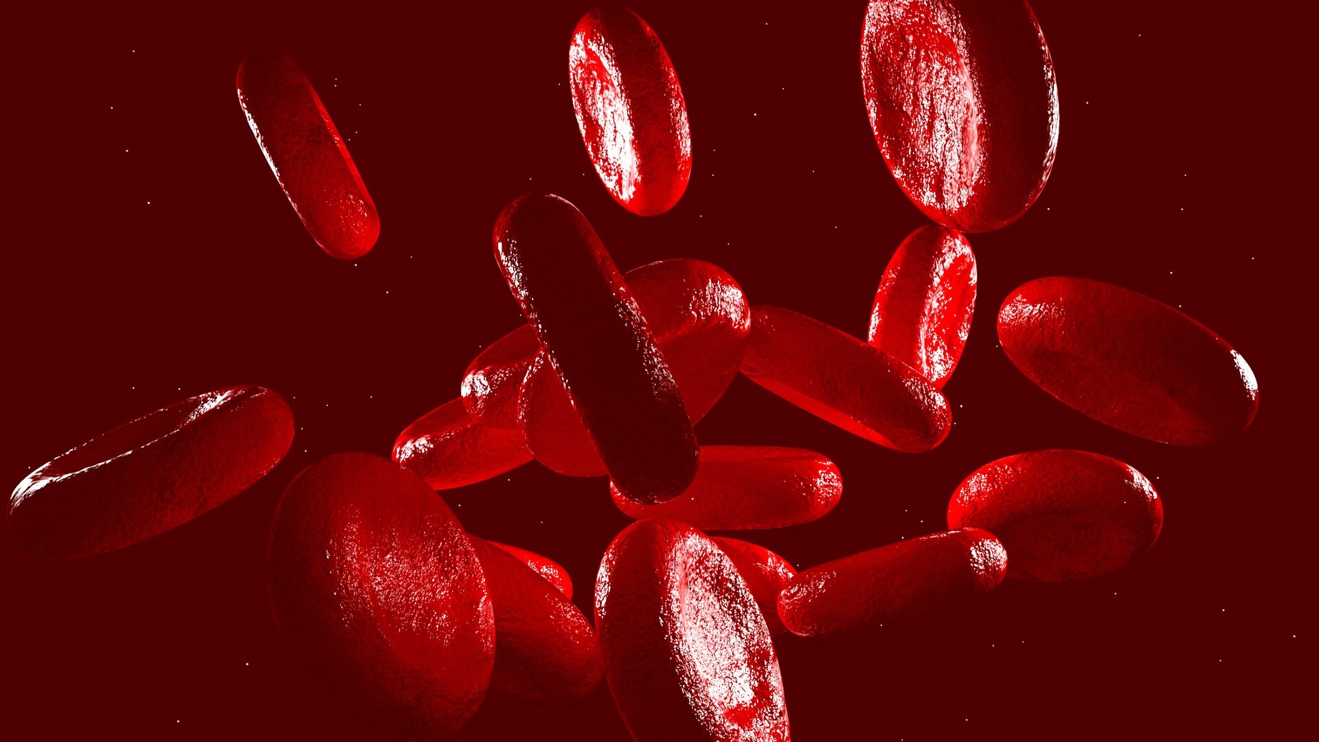 3D Red Blood Cell - TurboSquid 2074868