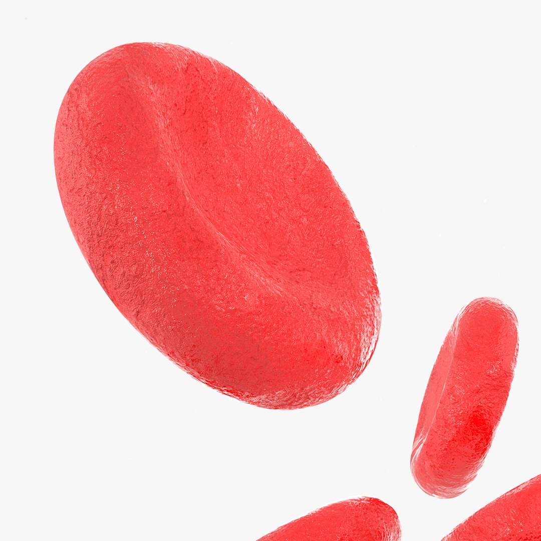 3D Red Blood Cell - TurboSquid 2074868