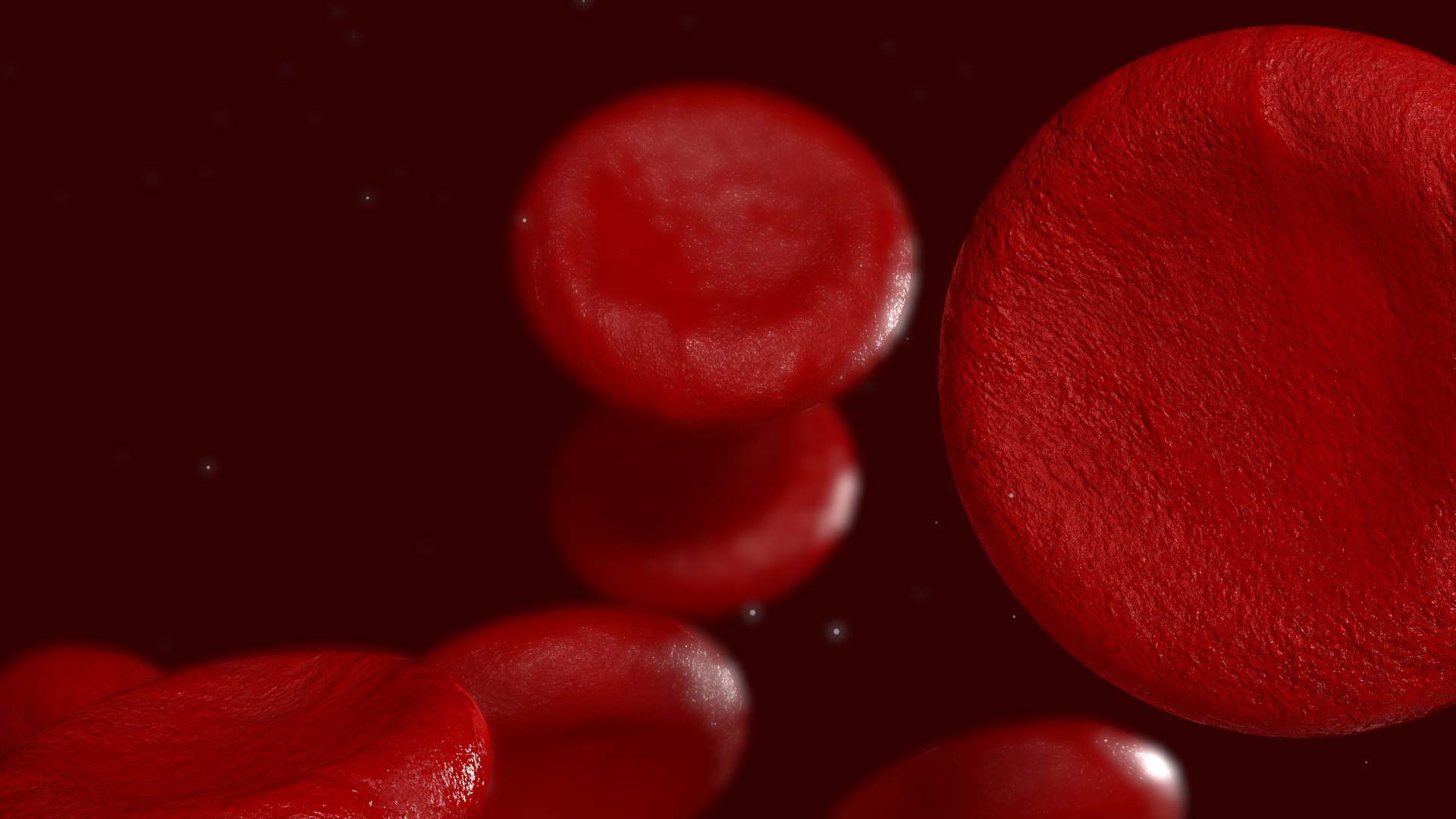 3D Red Blood Cell - TurboSquid 2074868