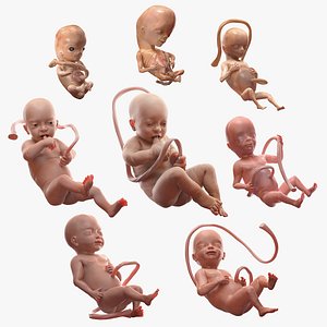 3D Pregnant Models | TurboSquid