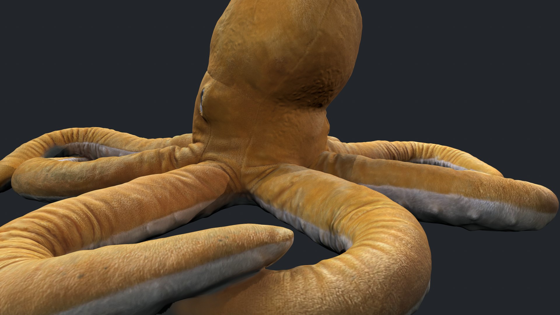 3D Octopus Toy - TurboSquid 2144835