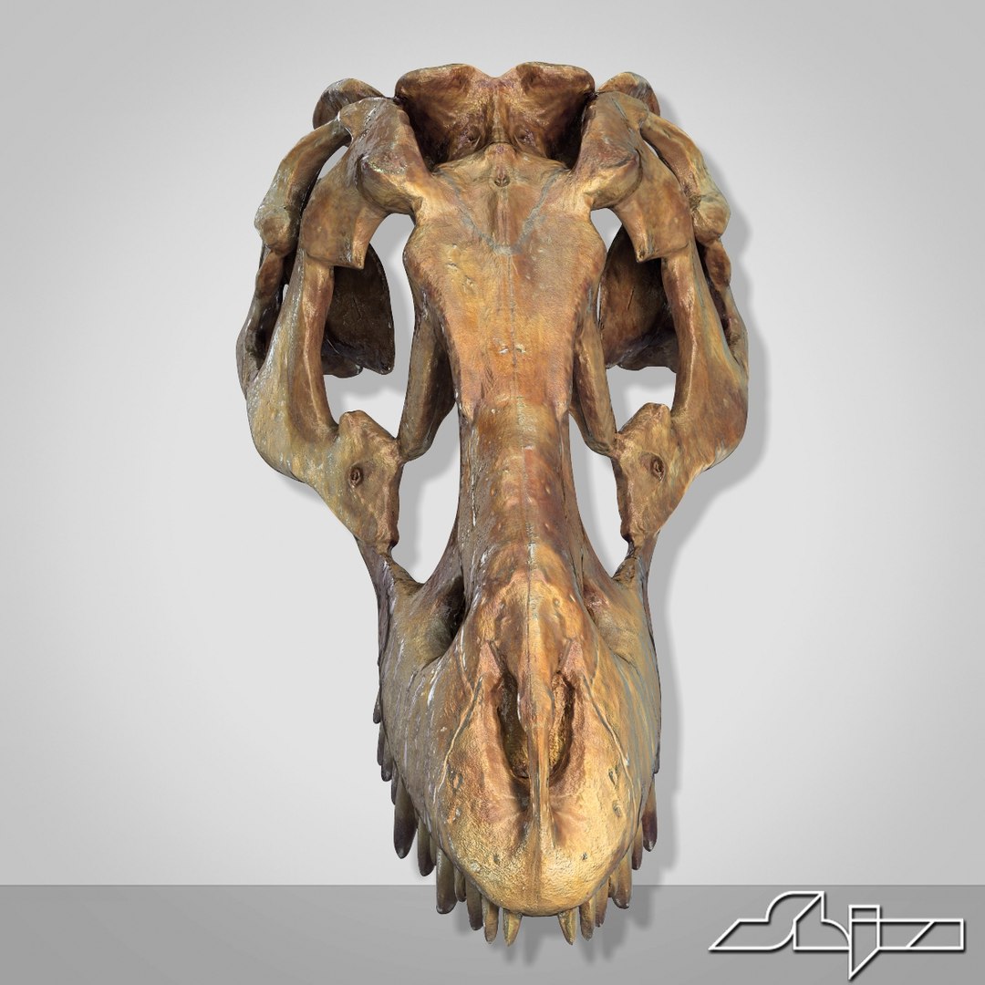 Dino Skull 3d Max