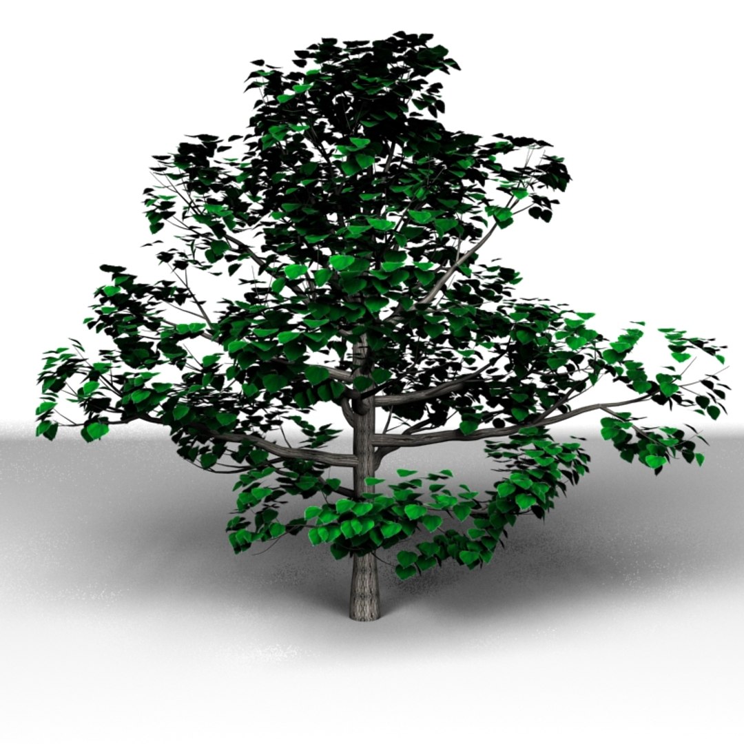 3dsmax tree modo