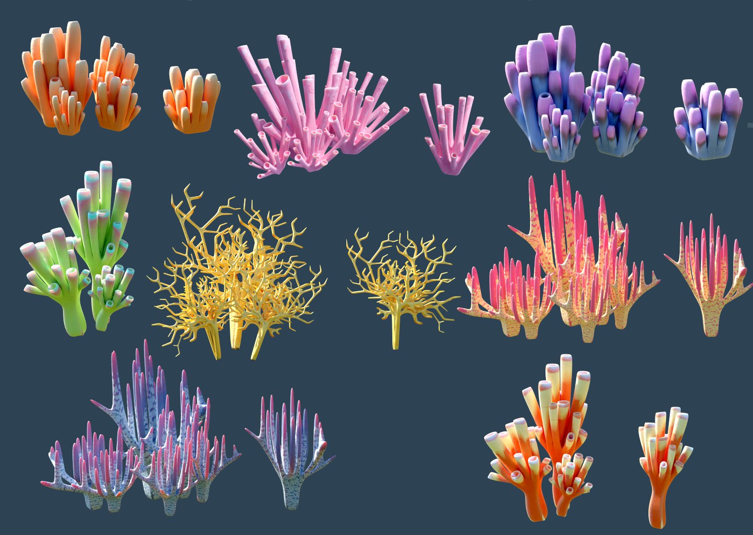 3D Coral And Reef Animals - TurboSquid 2156619