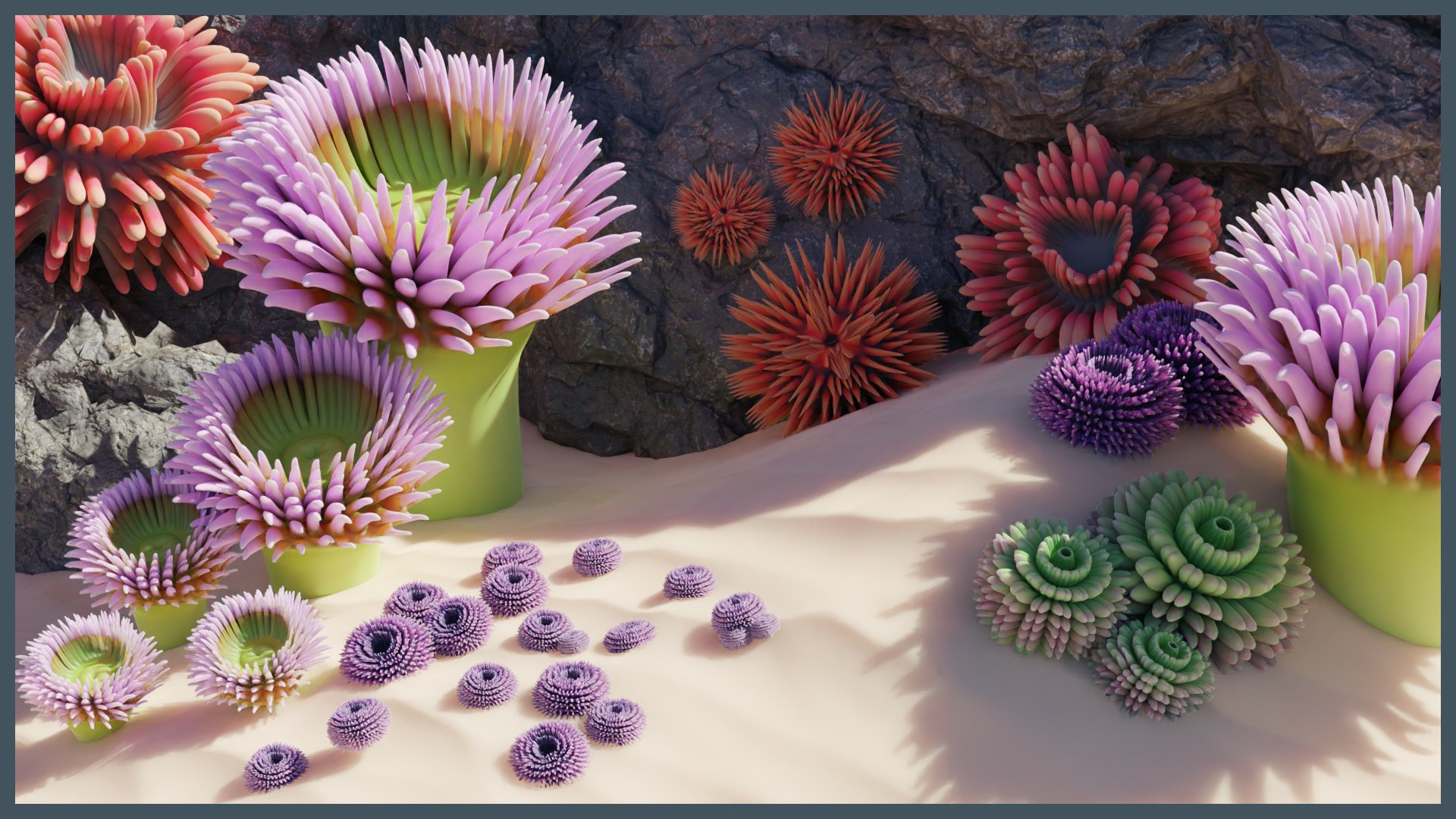 3D Coral And Reef Animals - TurboSquid 2156619