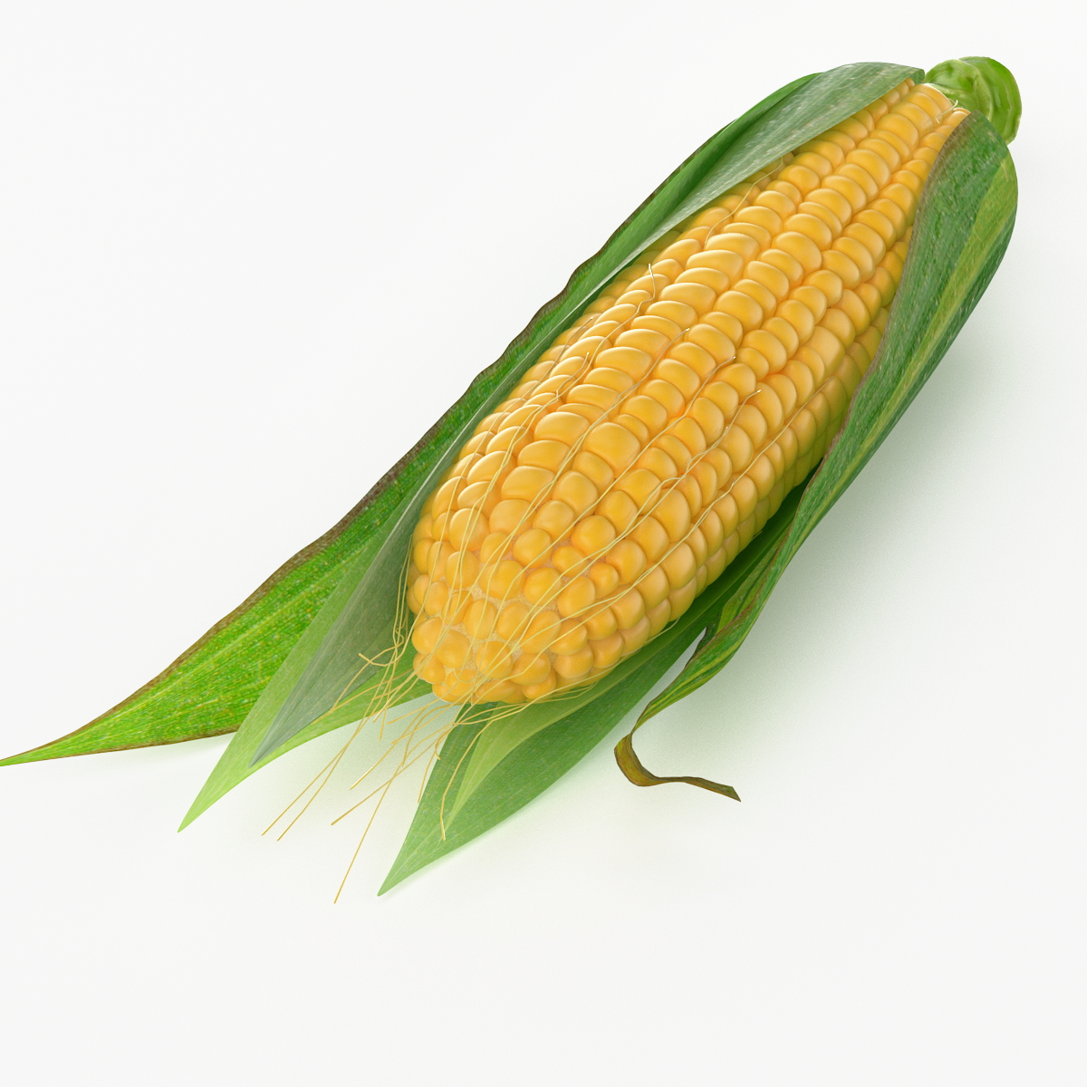 3ds max realistic corn real