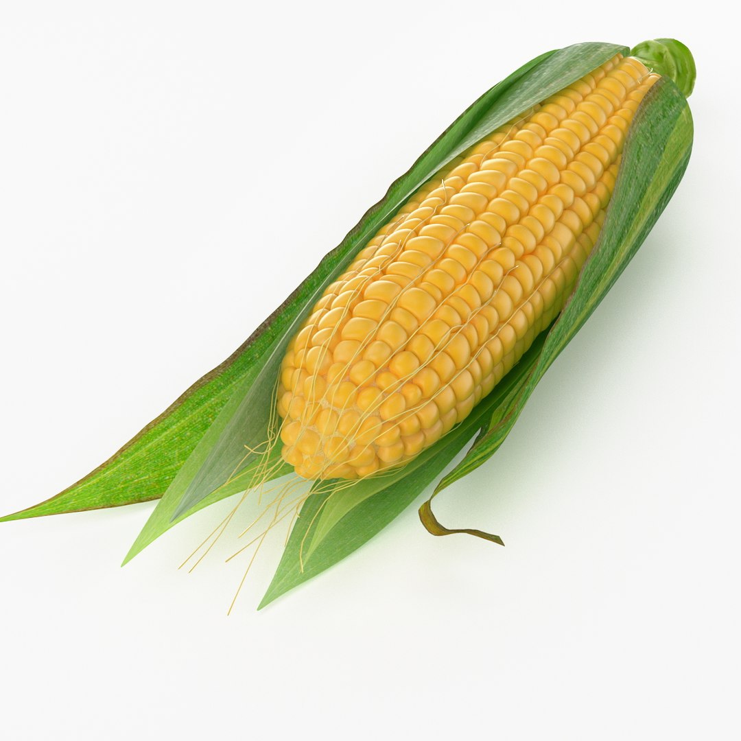 3ds Max Realistic Corn Real