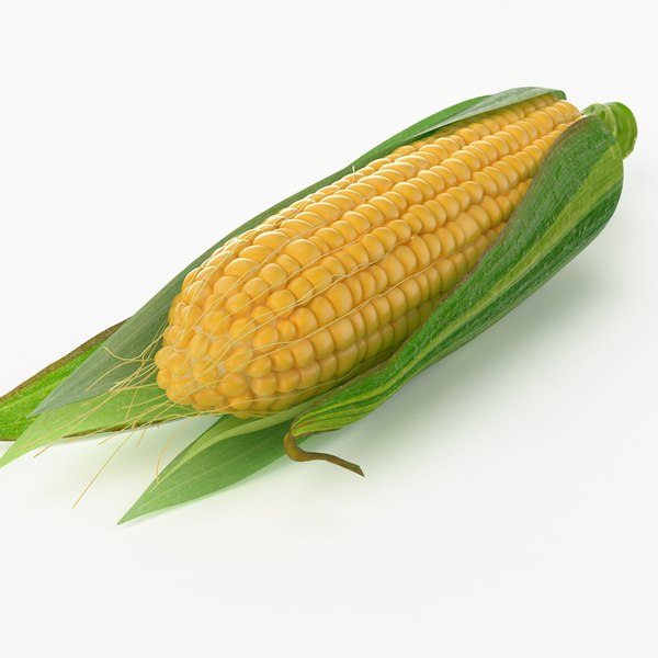 Free 3D Corn Models | TurboSquid