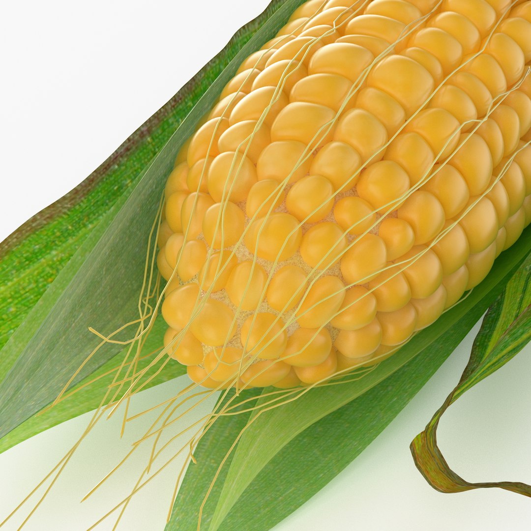 3ds Max Realistic Corn Real