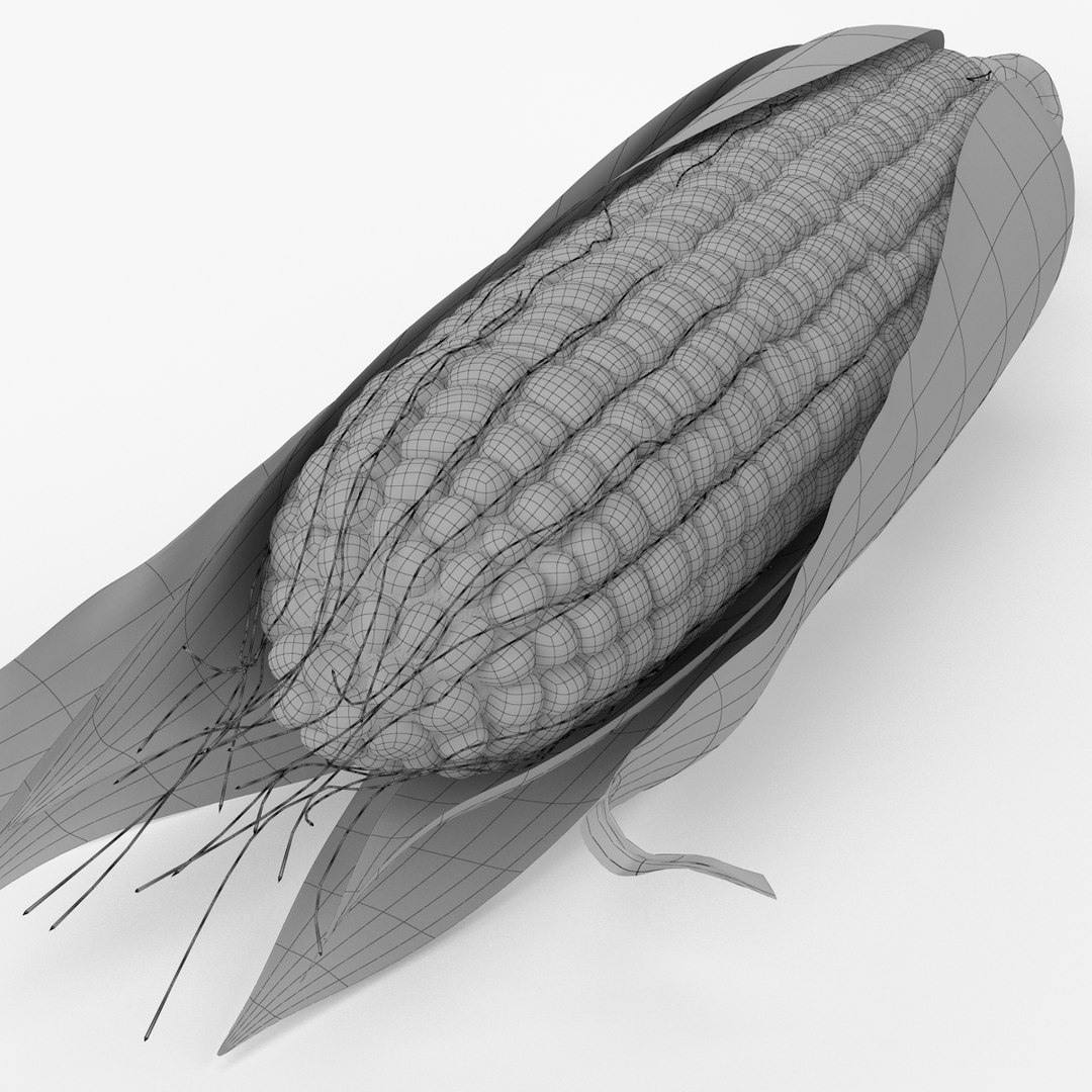 3ds Max Realistic Corn Real